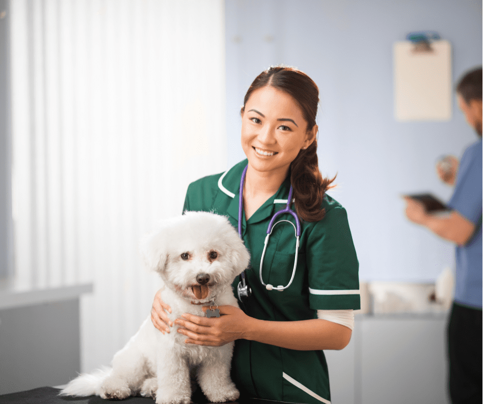 Career Choices For Young People: The Best Options For Your Future ...