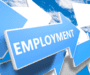 Why Employment Matters For Economic Growth | Skills Training Group